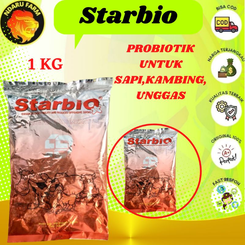 Jual STARBIO PROBIOTIK UNTUK TERNAK RUMINANSIA SAPI KAMBING DOMBA ...
