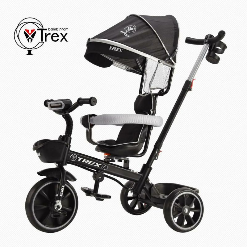 Jual Sepeda Stroller Roda Tiga Anak Kanopi (TREX) | Shopee Indonesia