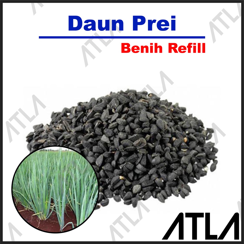 Jual Benih Daun Prei Biji Bibit Tanaman Sayur Sayuran Refill | Shopee ...