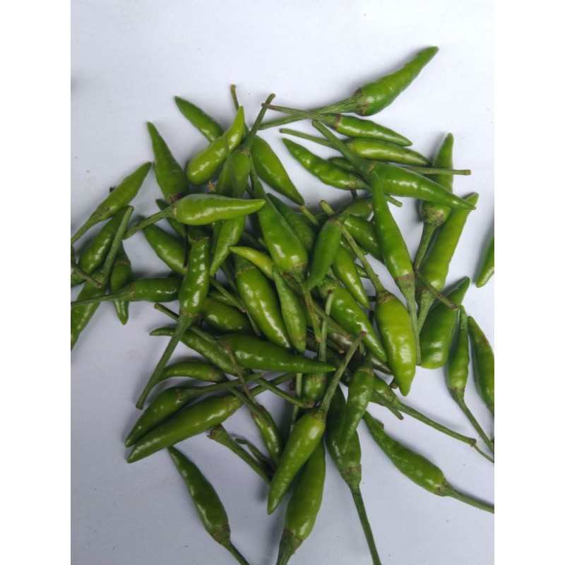 Jual cabe rawit ijo (caplak) | Shopee Indonesia
