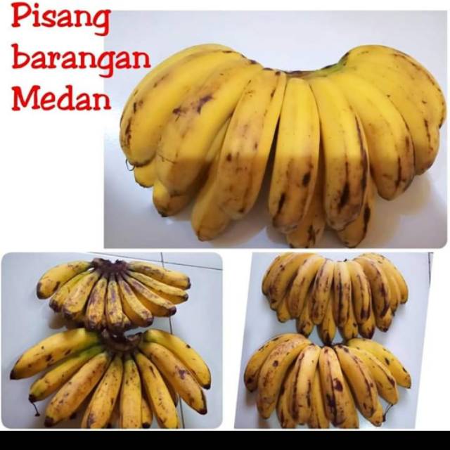 Jual Pisang Barangan Medan | Shopee Indonesia