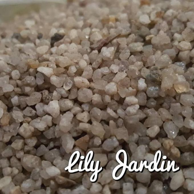 Jual Open Ds Silica Sand / Pasir Silika / Kuarsa / Kwarsa - 1 Kg ...