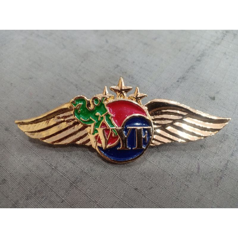 Jual BRIVET WING PDH TNI AD BREVET PDH | Shopee Indonesia