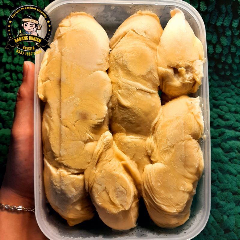 Jual Durian Nias 900gr/ DURIAN MEDAN 800GR-900GR/ MONTONG PALU PARIGI ...