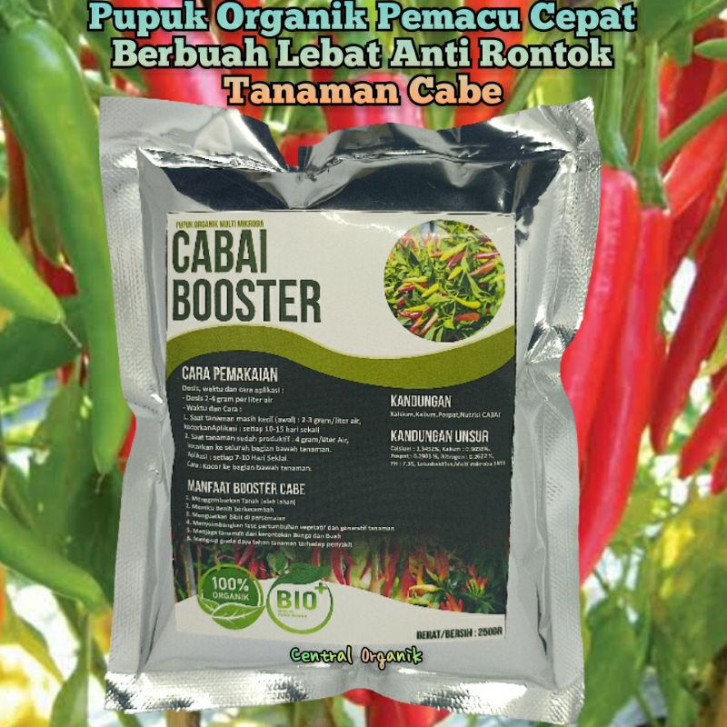 Jual Pupuk Booster Cabe Cepat Berbuah Lebat Pupuk Pelebat Cabe Rawit Pupuk Pelebat Cabe Merah ...