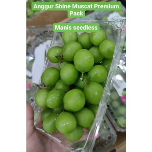 Jual Anggur Shine Muscat Hijau muscat merah Seedless Premium Pack ...