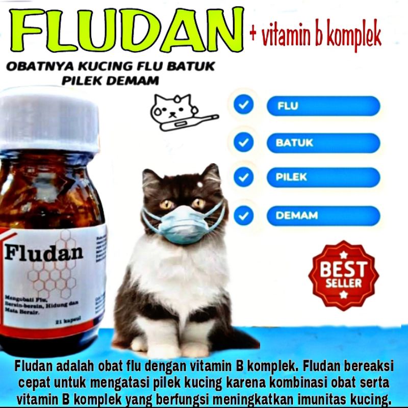Jual Fludan capsul obat flu dan pilek dengan vitamin imun untuk kucing ...