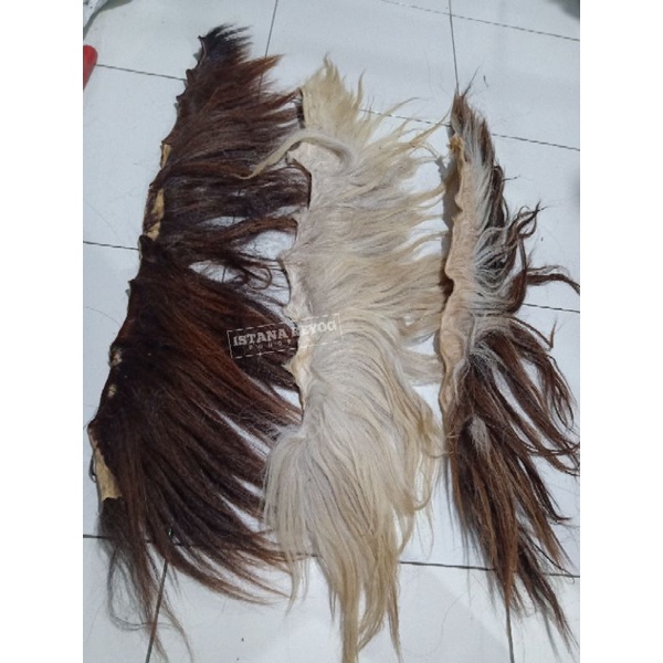 Jual Jambak kuda/rambut kuda/suri kuda/rambut ganong/rambut jaran ...