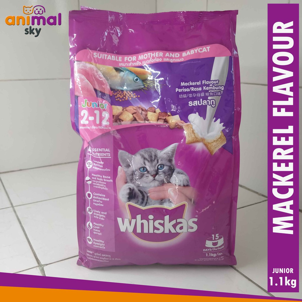 Jual Makanan Kucing Whiskas / Whiskas Junior Mackerel Flavour 1.1kg ... Jual Makanan Kucing Whiskas / Whiskas Junior Mackerel Flavour 1.1kg ...