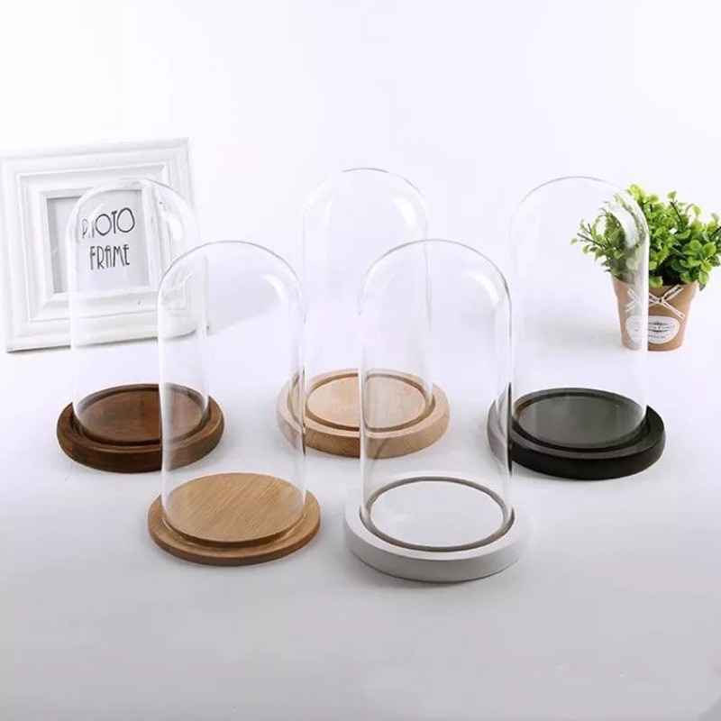 Jual GLASS DOME / TEMPAT HIASAN BUNGA | Shopee Indonesia