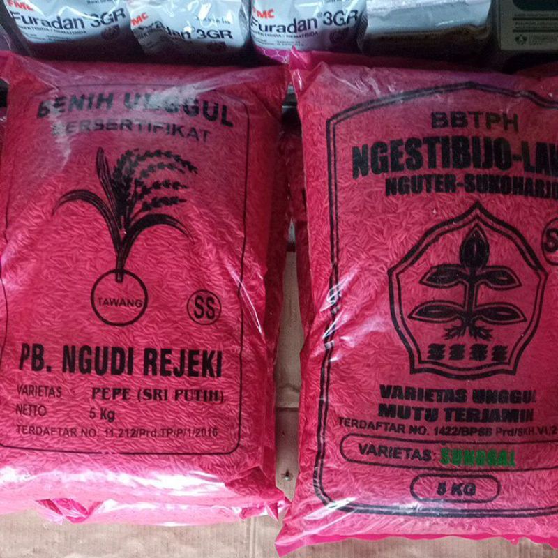 Jual benih padi sunggal dan pepe | Shopee Indonesia