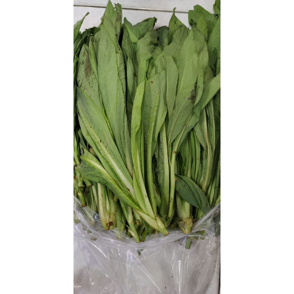 Jual 1kg Sayur Fumak Kumak Kumek Makanan Tortoise Kura Darat Sulcata 1 ...