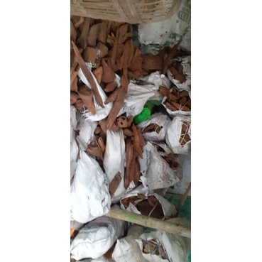 Jual Kayu Ramin Kalimantan Super Grade A 1kg/Gaharu Buaya Kalimantan ...