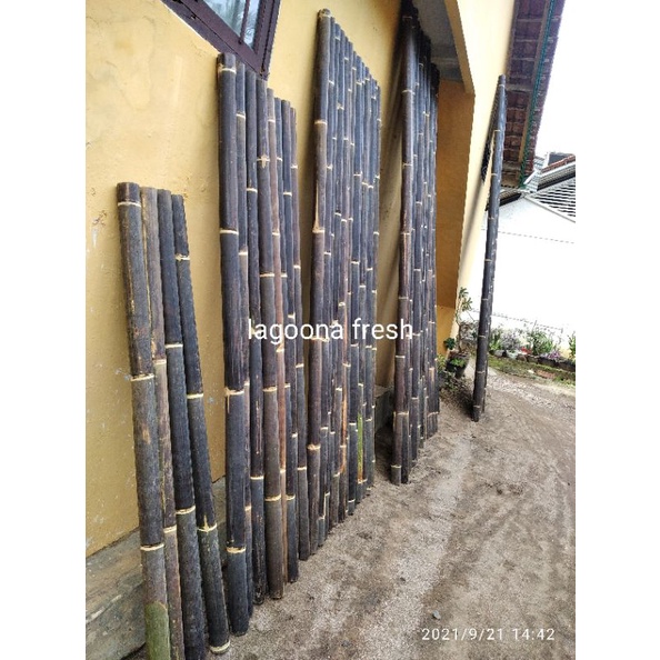 Jual bambu hitam/bambu wulung 100 cm | Shopee Indonesia