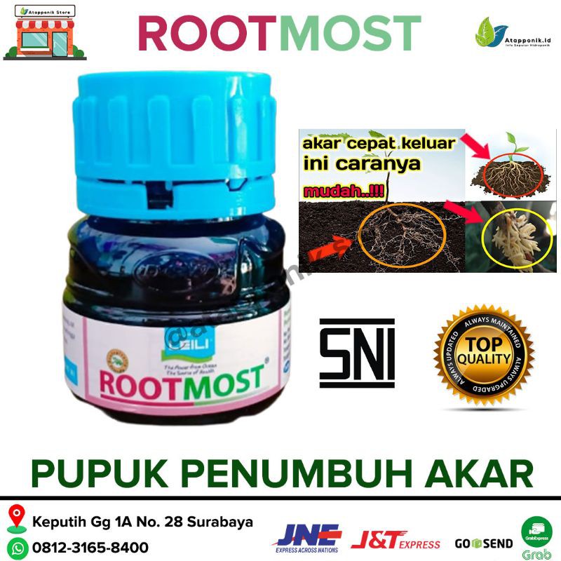 Jual rootmost 100ml - pupuk untuk mempercepat pertumbuhan akar tanaman | Shopee Indonesia