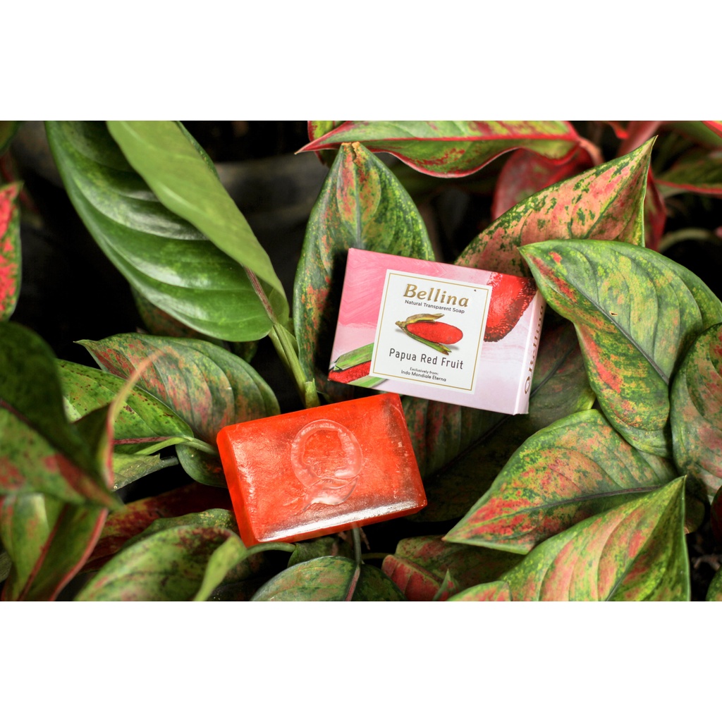 Jual Bellina Soap - Papua Red Fruit (Sabun Buah Merah) | Shopee Indonesia