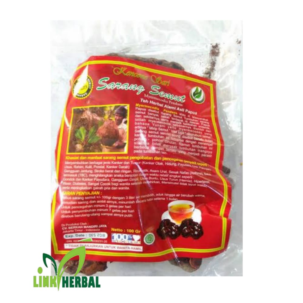 Jual Sarang Semut Asli Papua || Sarmut Kencono Sari Original | Shopee ...