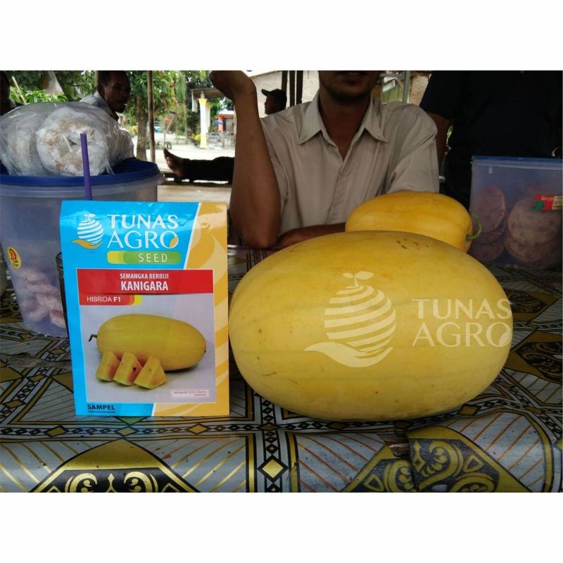 Jual BENIH SEMANGKA EKSKLUSIF KANIGARA HIBRIDA F1 dari TUNAS AGRO ...