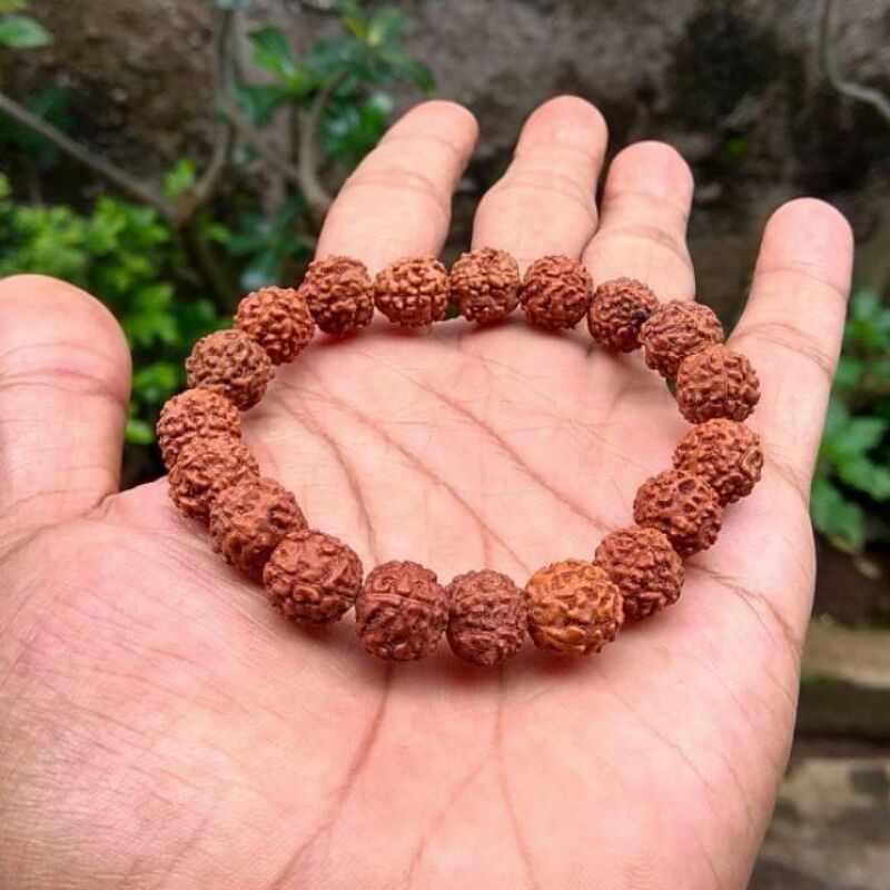 Jual Gelang biji jenitri genitri rudraksha 100% asli alami 8mm citrine ...