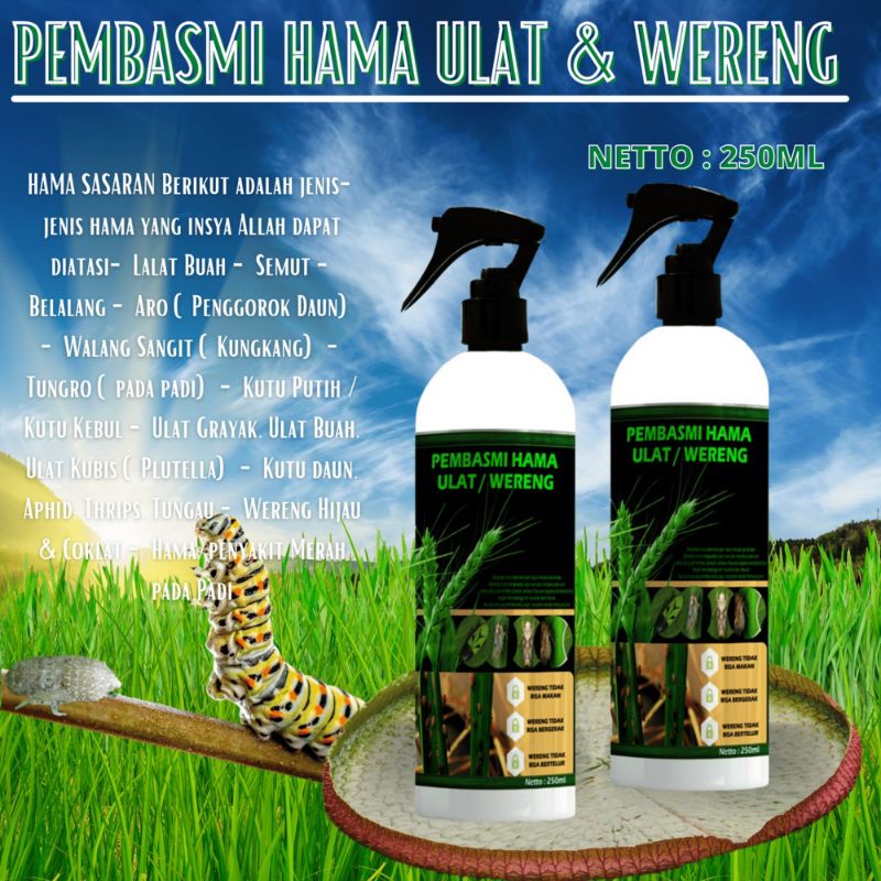 Jual OBAT RACUN PEMBASMI ULAT & WERENG SPRAY 250ML | Shopee Indonesia