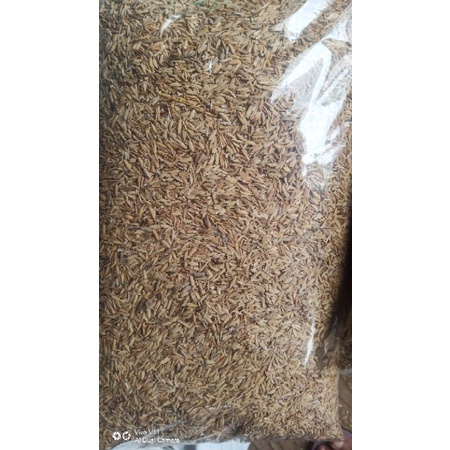 Jual sekam padi mentah (kulit padi) | Shopee Indonesia