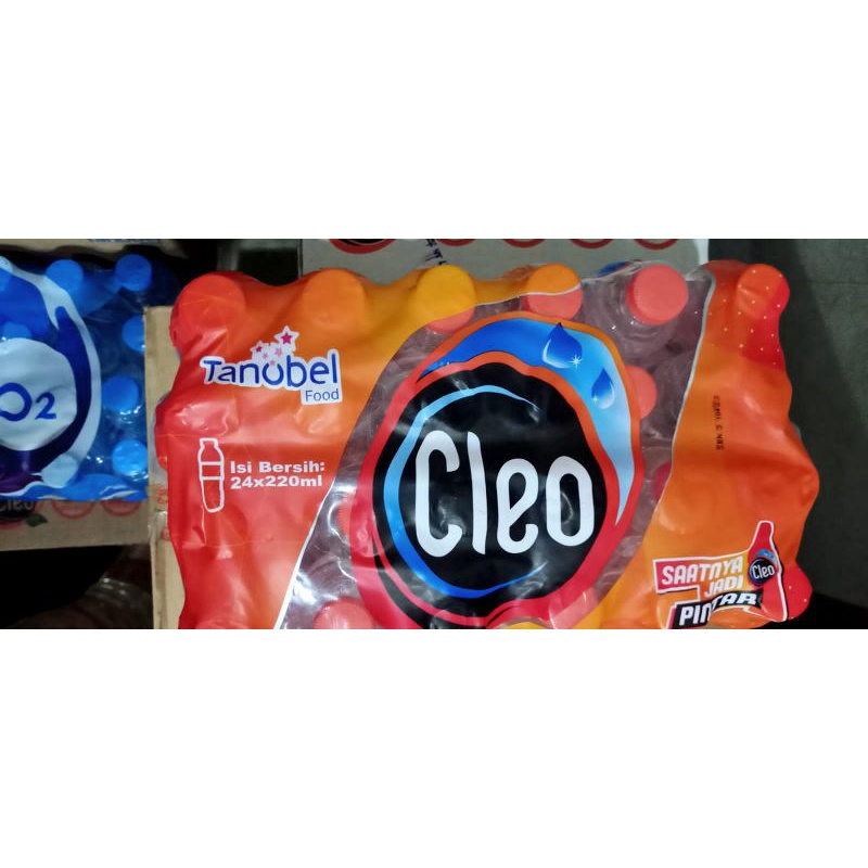 Jual Cleo air botol mini 220ml per pack isi 24 botol | Shopee Indonesia