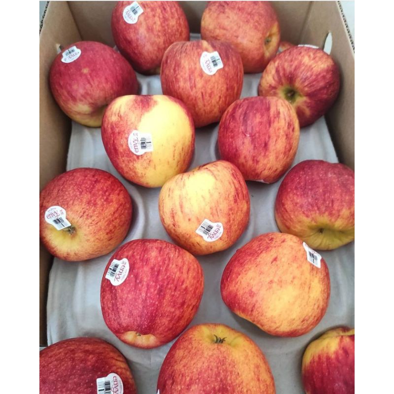 Jual BUAH APEL ENVY NZ/USA JUMBO SEGAR DAN MANIS 1 KG | Shopee Indonesia