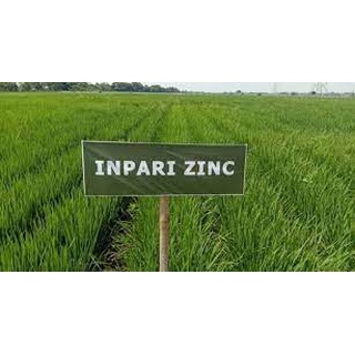 Jual Benih Padi Inpari Varietas Nutrizinc Inpari IR Nutri Zinc Berat ...