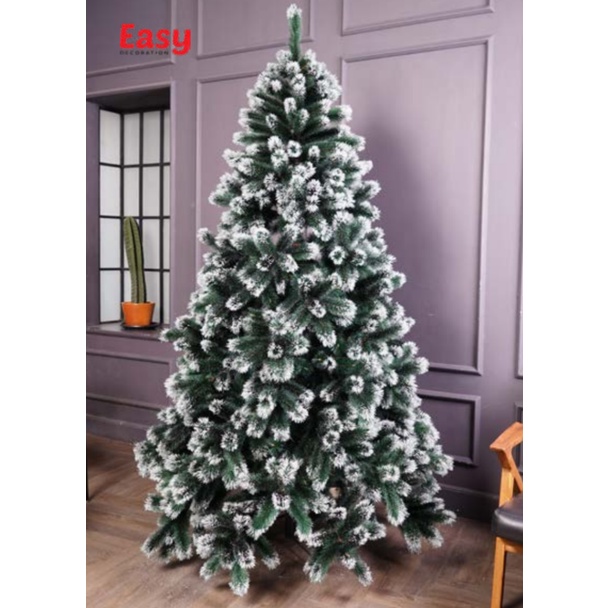 Jual Pohon Natal 1 Meter / 1.2m 120Cm 4Ft ALASKA RAINBOW FIR CHRISTMAS ...