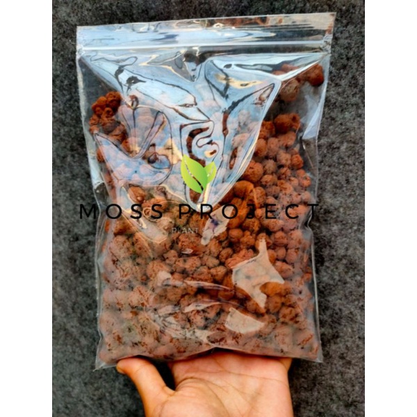 Jual hydroCORN | Shopee Indonesia
