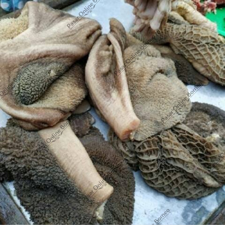 Jual Babat Sapi Fresh Segar | Shopee Indonesia
