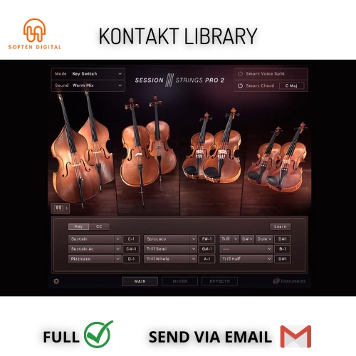 Jual Session Strings Pro 2 - library preset KONTAKT highly realistic ...