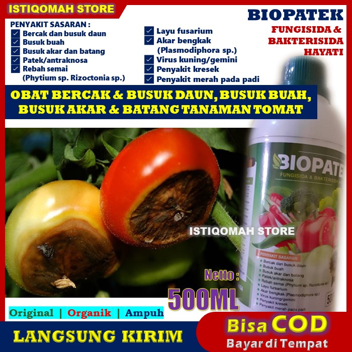 Jual BIOPATEK 500ml Fungisida Hayati OBAT Semprot BERCAK & BUSUK DAUN ...