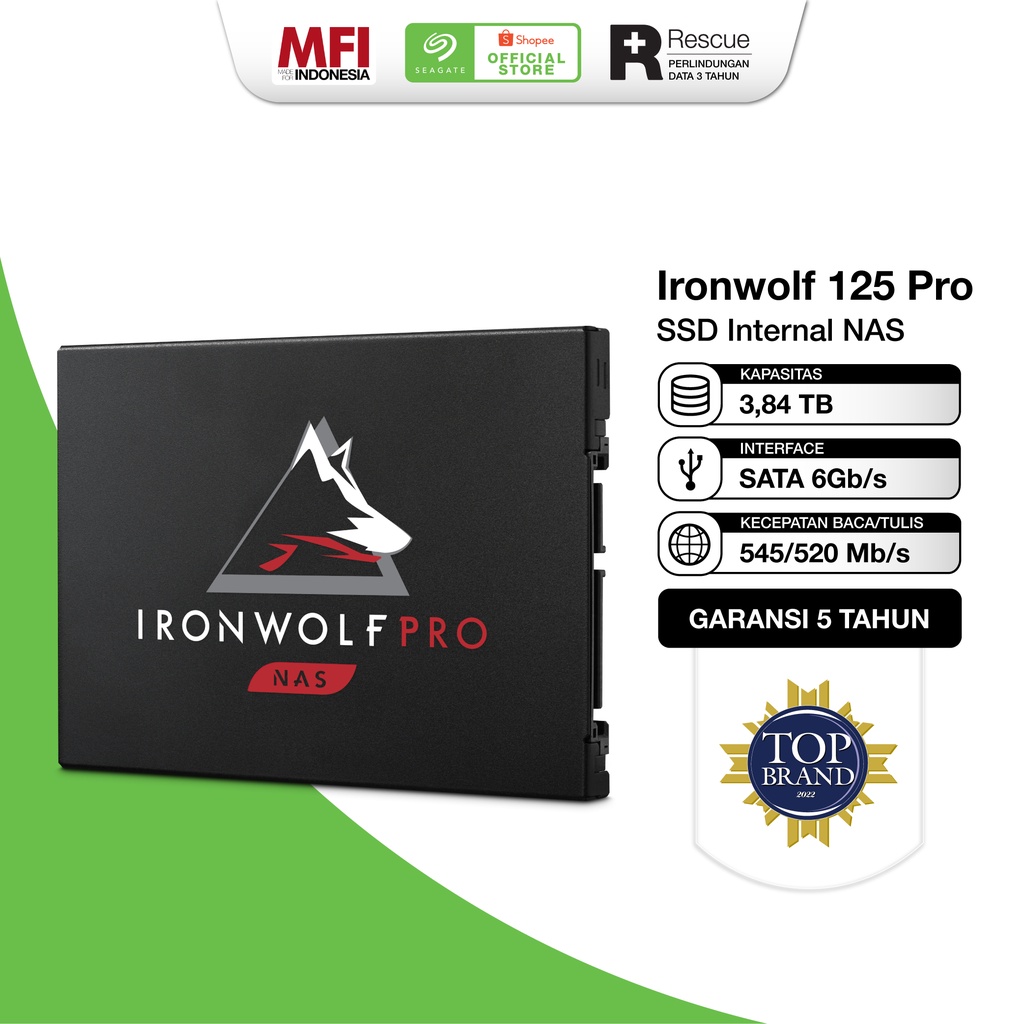 Jual Seagate IronWolf 125 Pro NAS SSD 3.84TB SATA III 3D NAND TLC ...