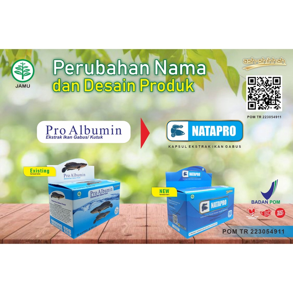 Jual Pro Albumin Ash-Shihhah Kapsul Ekstrak Ikan Gabus | Kapsul Kutuk ...
