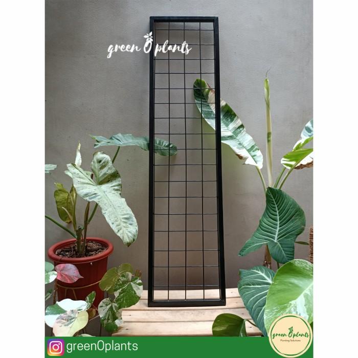Jual Rak Vertical Garden 25Cm X 100Cm | Shopee Indonesia