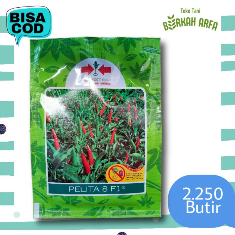 Jual Benih Cabe Rawit PELITA 8 F1 2250 butir Cap Panah Merah Asli ...