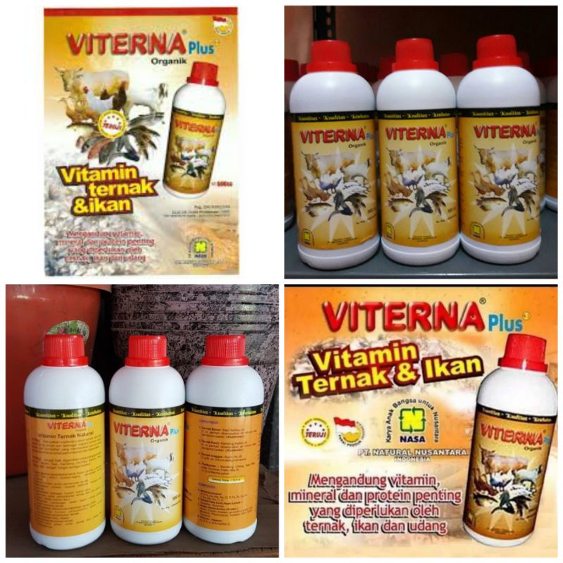 Jual Viterna/vitamin Ternak/penggemuk ternak | Shopee Indonesia