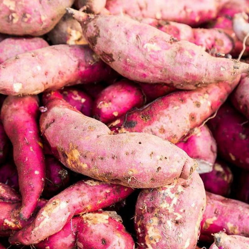 Jual Ubi Merah | Ubi Jalar 500gr( ½ )+ Gratis Bonus | Shopee Indonesia