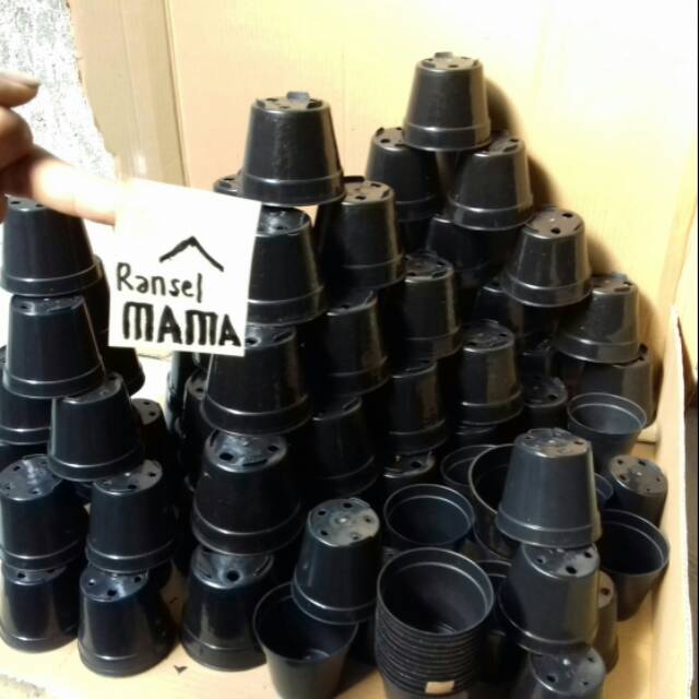 Jual Pot Bunga 10cm & 8cm, Pot Plastik Tanaman Diameter Ukuran 10 atau ...
