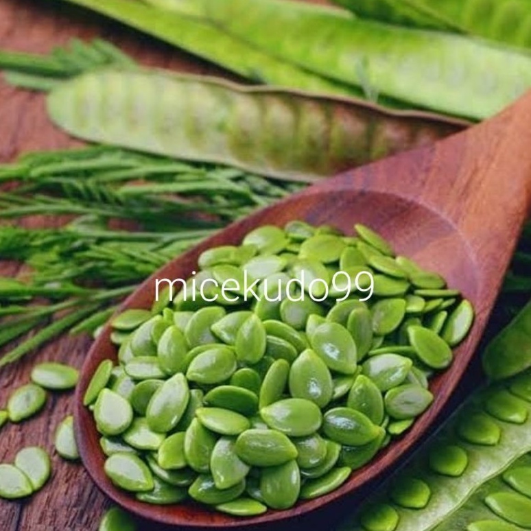 Jual PETAI CINA SEGAR LAMTORO RIVER TAMARIND FRESH MLANDING PETE ...