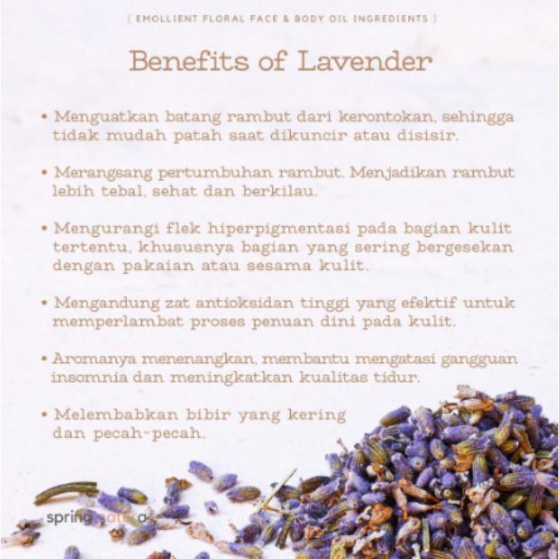 Jual RAW TISANE Lavender Tea : Teh Bunga Lavender / Teh Celup Bunga ...
