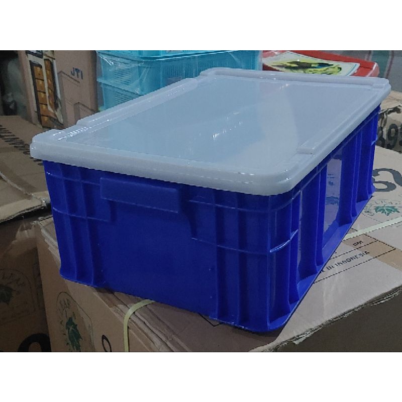 Jual Container Box Industri Rabbit 6033 | Shopee Indonesia