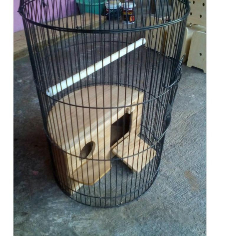 Jual GLODOK TEMPAT BERTELUR BURUNG SETENGAH LINGKARAN | Shopee Indonesia