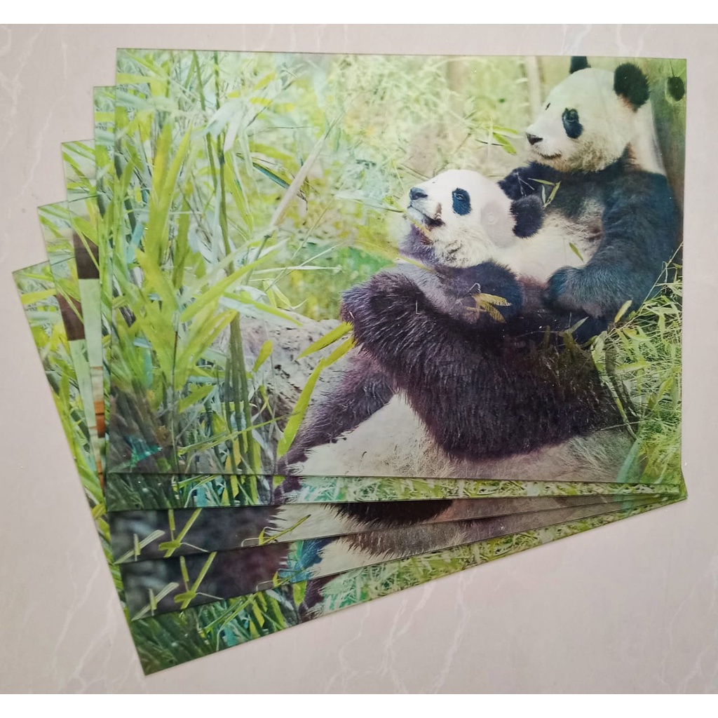 Jual Poster Gambar 3D / 3 Dimensi Panda 30x40cm | Shopee Indonesia