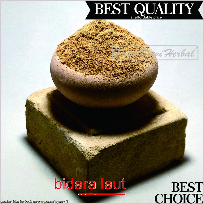 Jual Batang Bidara Laut Bubuk 1 Kg - 1000 Gram - Serbuk Bidara Putih ...