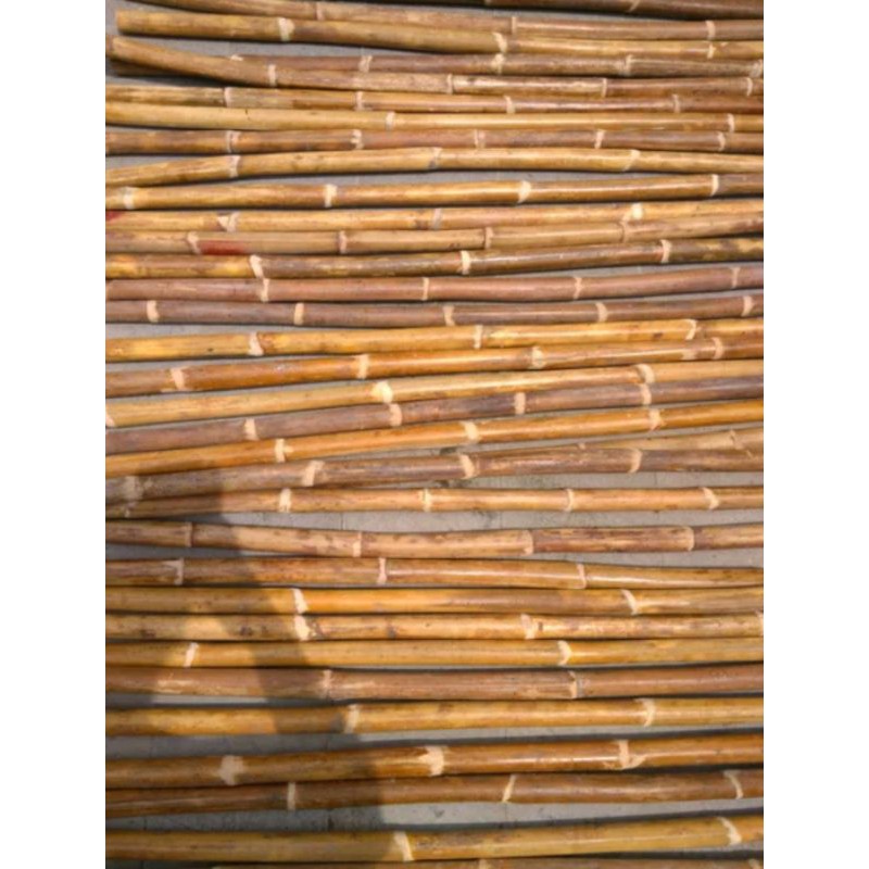 Jual Toya rotan kulit asli diameter 2-3cm panjang 150cm | Shopee Indonesia