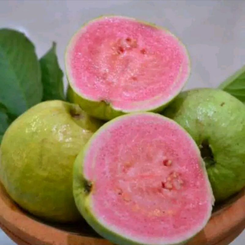 Jual Buah Jambu Merah Per 1 biji | Shopee Indonesia