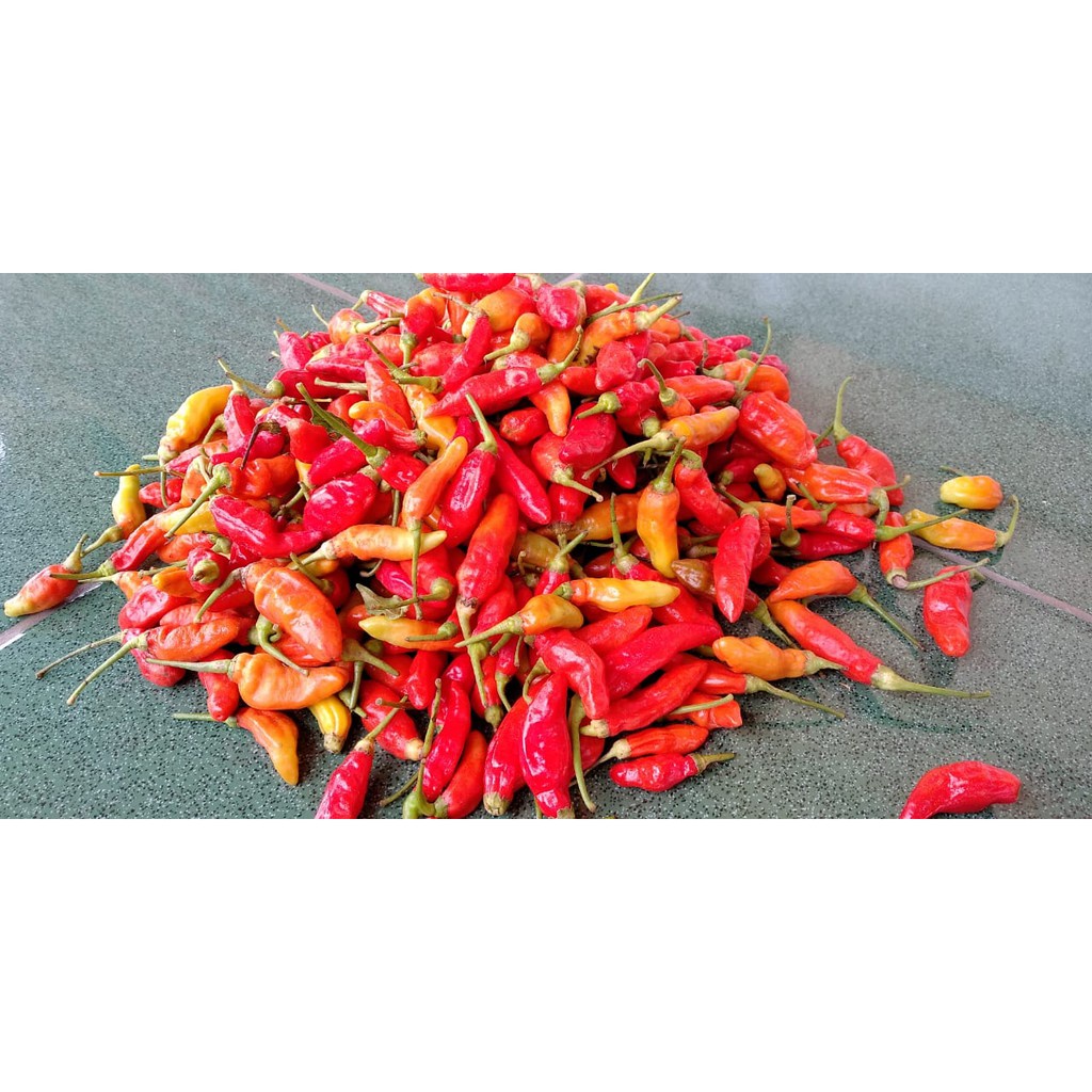 Jual Cabe Rawit Merah Cengek Domba MONA SAYUR BANDUNG | PESAN ANTAR ...