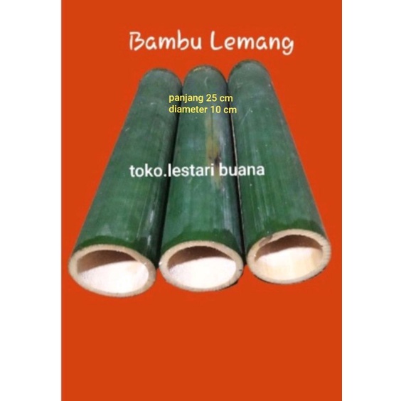 Jual Bambu Lemang 25-30 cm | Shopee Indonesia